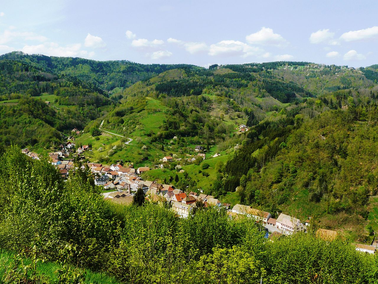 www.pf-schifferle.fr